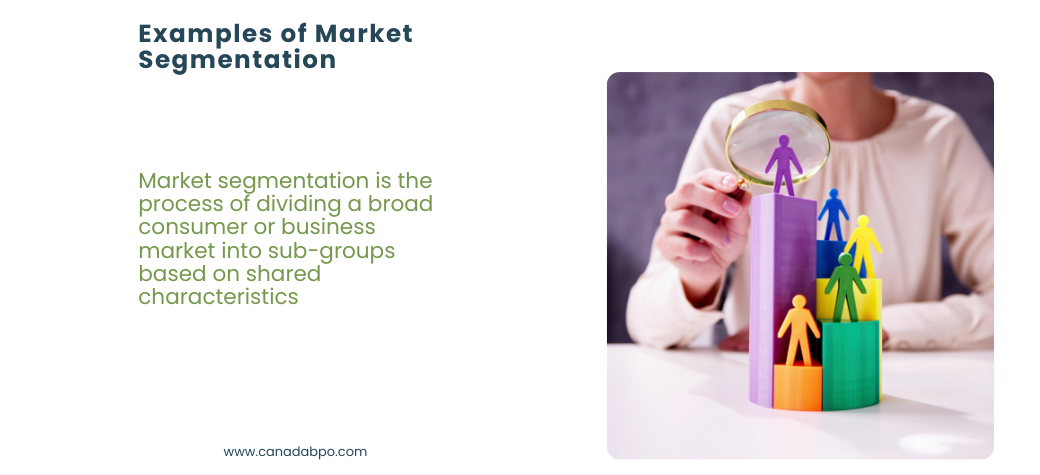 Examples of Market Segmentation: How Brands Target Their Ideal ...